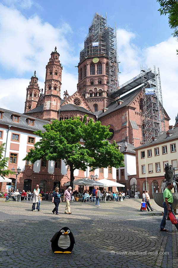 Mainzer Dom - Wo ist der Pinguin?