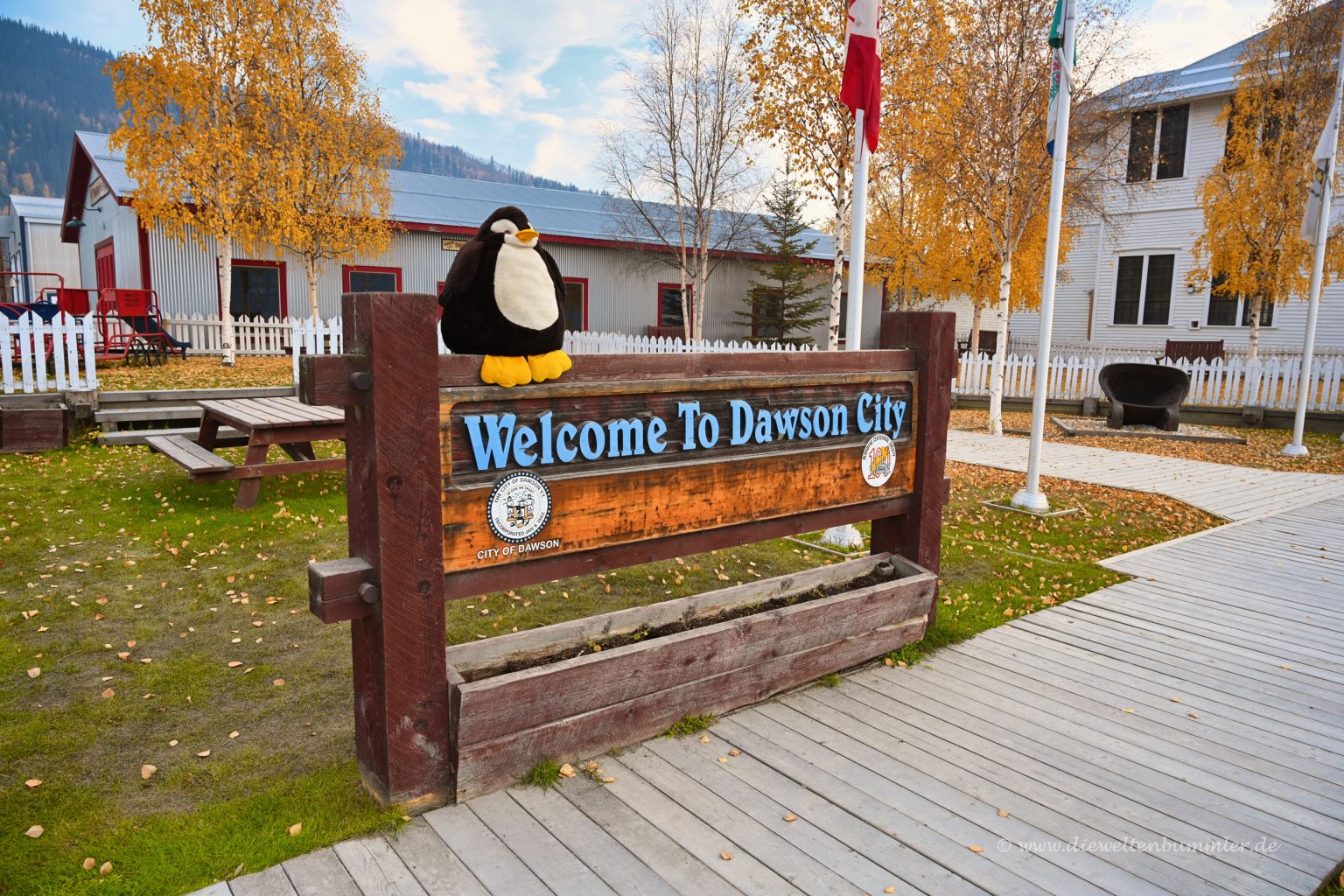 Welcome to Dawson City - Wo ist der Pinguin?