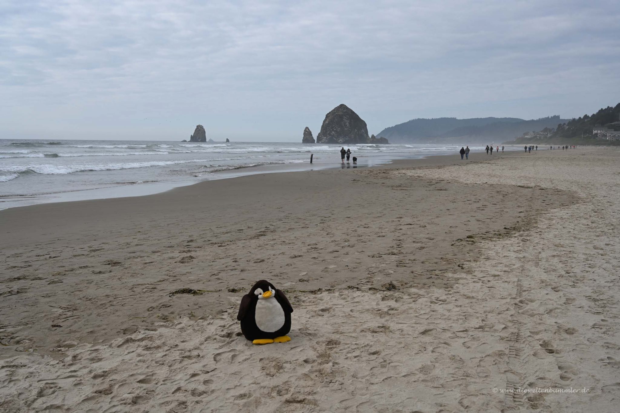 Cannon Beach - Wo ist der Pinguin?