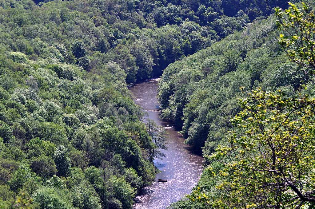 Landschaft im Tal der Ourthe - Die Weltenbummler