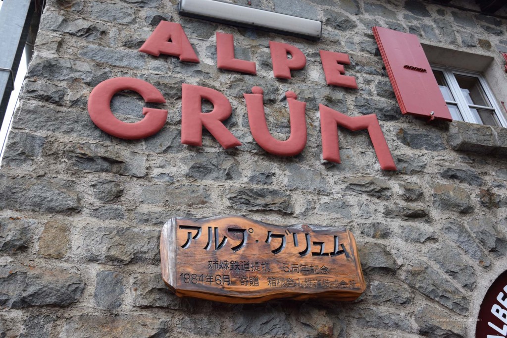 Alp Grüm - Die Weltenbummler