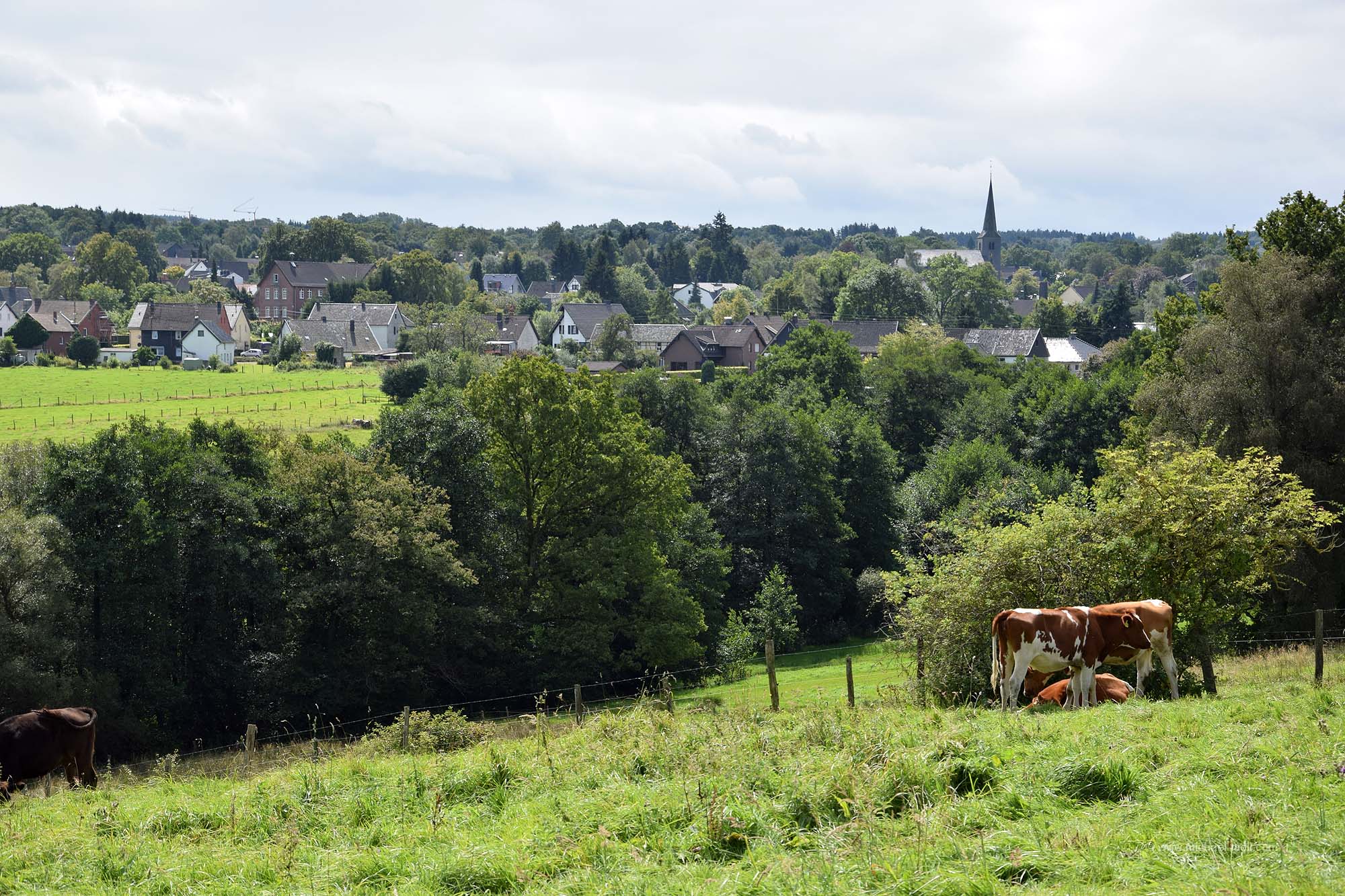 Blick auf Roetgen - Die Weltenbummler