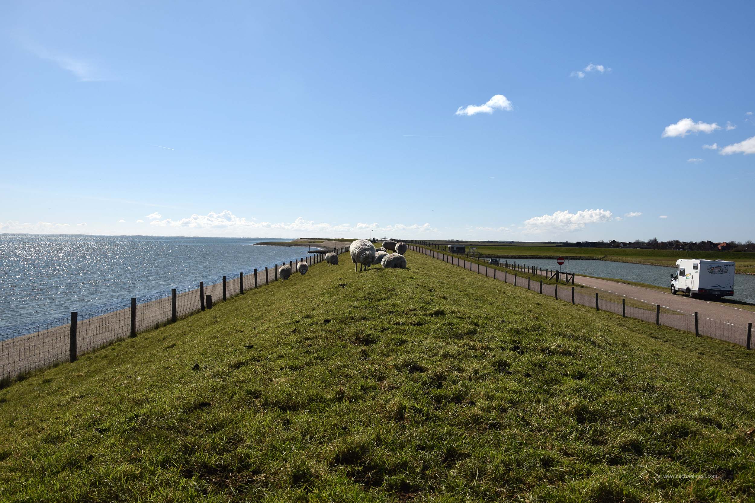 Damm - Die Weltenbummler