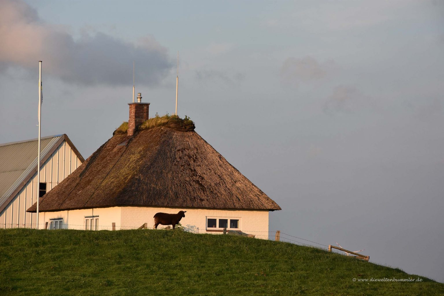 Wandern zur Hamburger Hallig - Die Weltenbummler