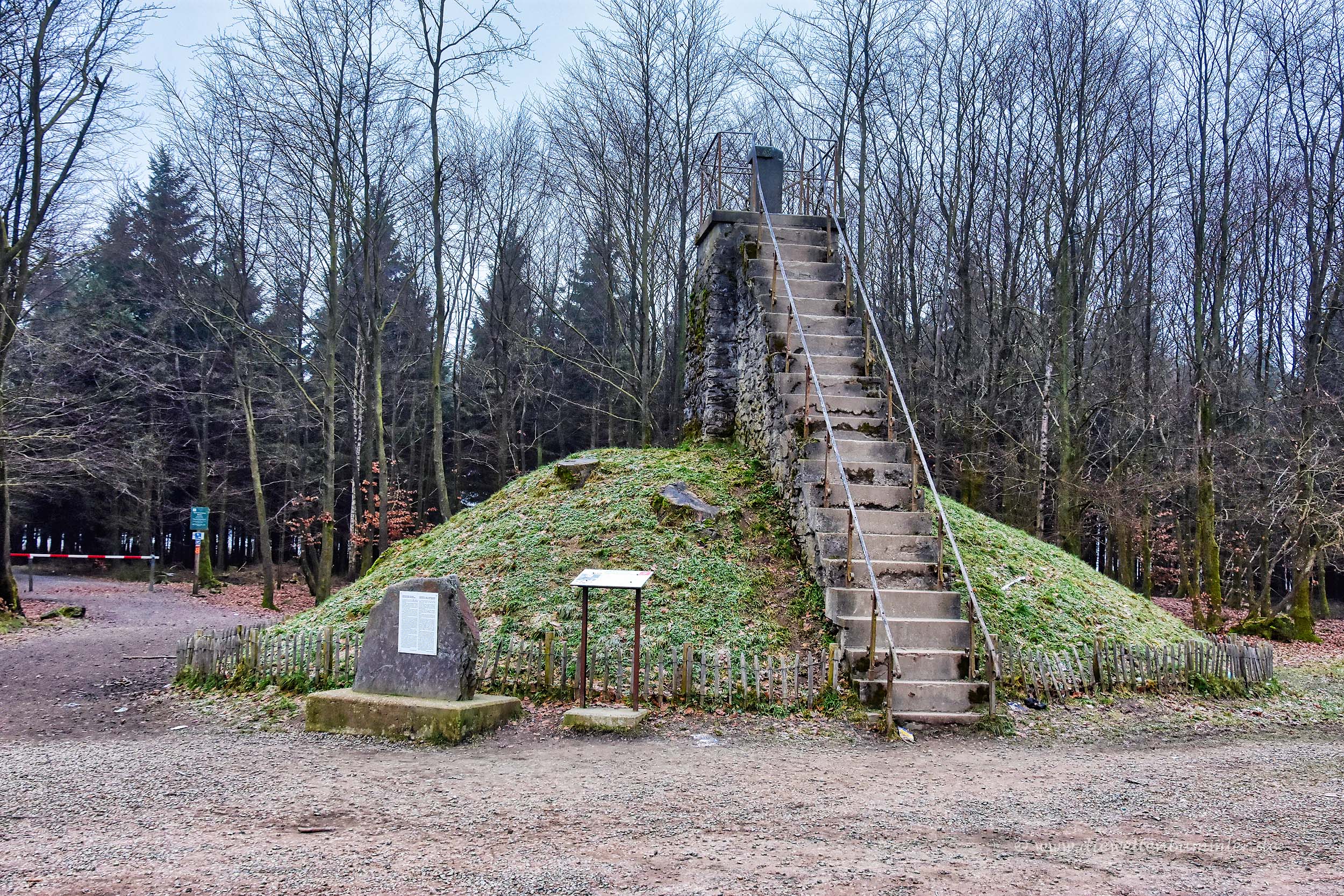 Baltia-Hügel am Signal de Botrange | Die Weltenbummler