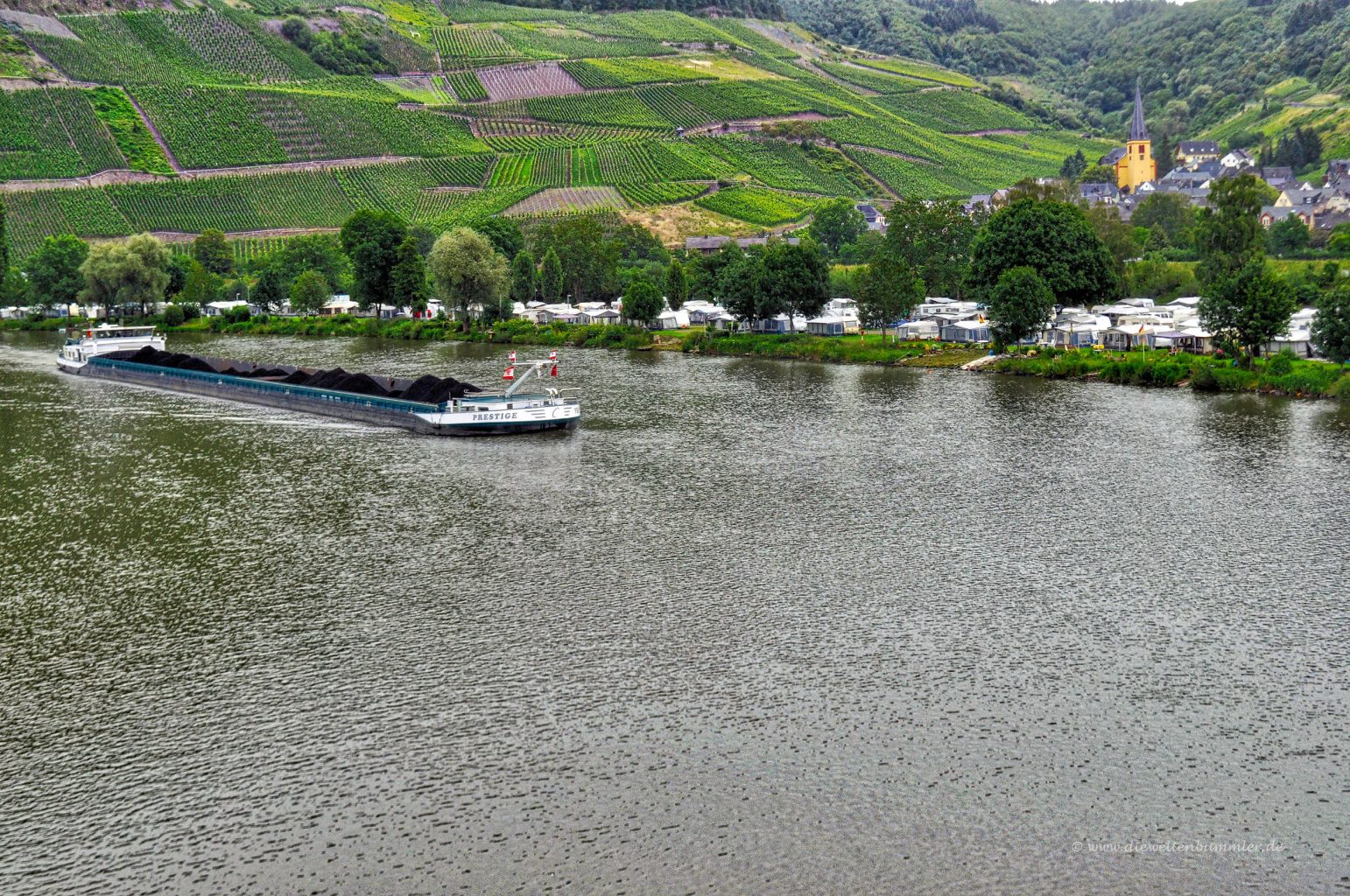 Blick über die Mosel nach Senheim - Die Weltenbummler