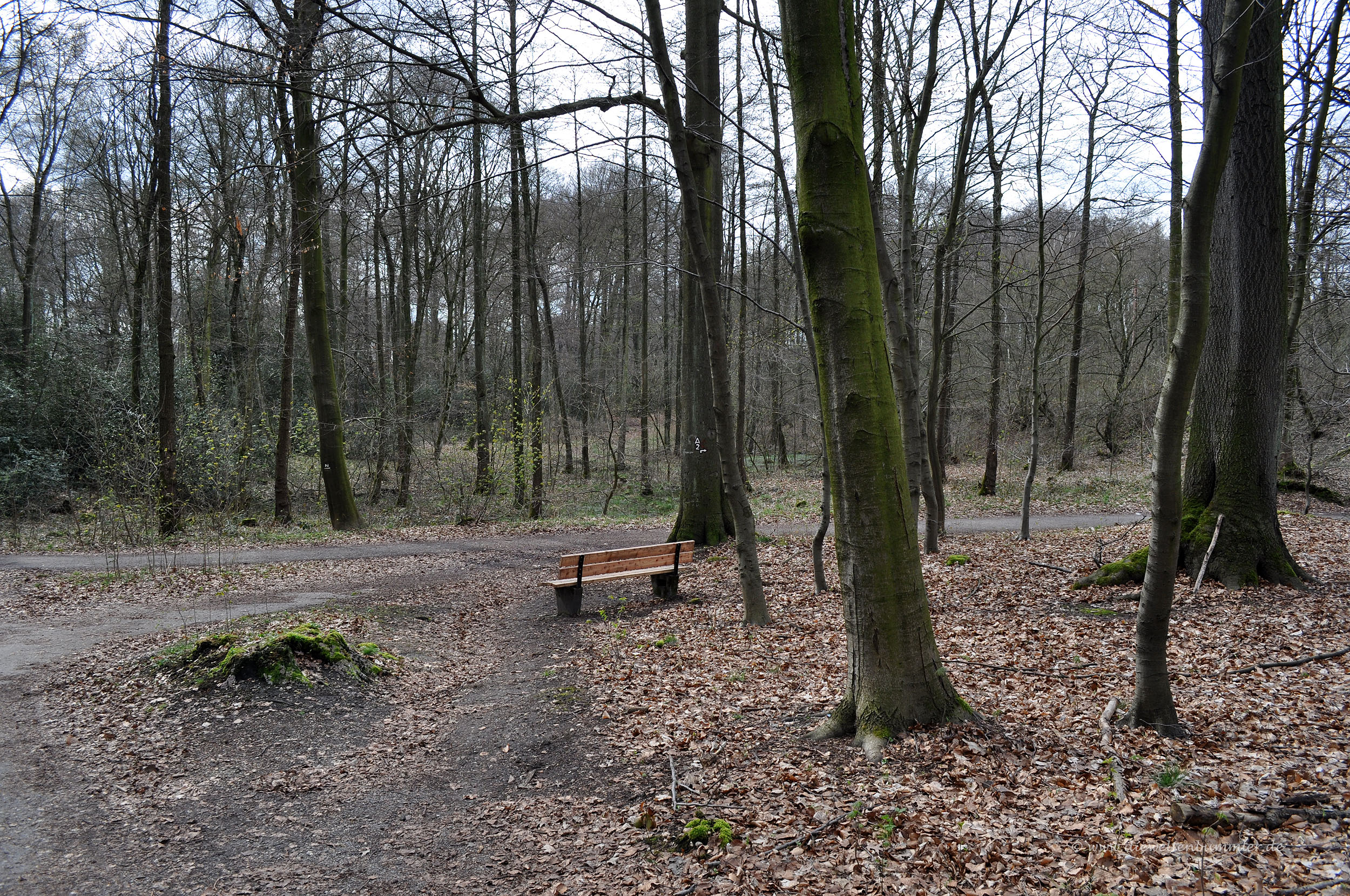 Duisburger Stadtwald - Die Weltenbummler