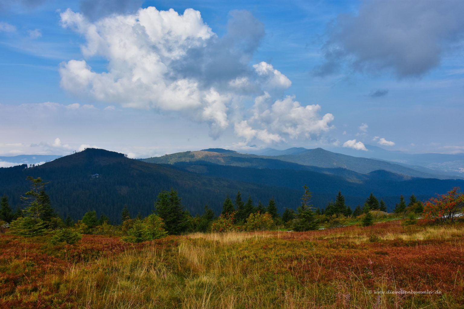 Blick über den Nationalpark Bayerischer Wald - Die Weltenbummler