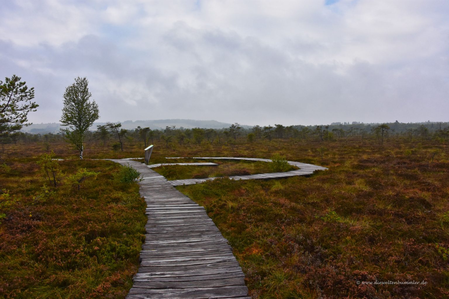 Wanderweg durch das Moor - Die Weltenbummler