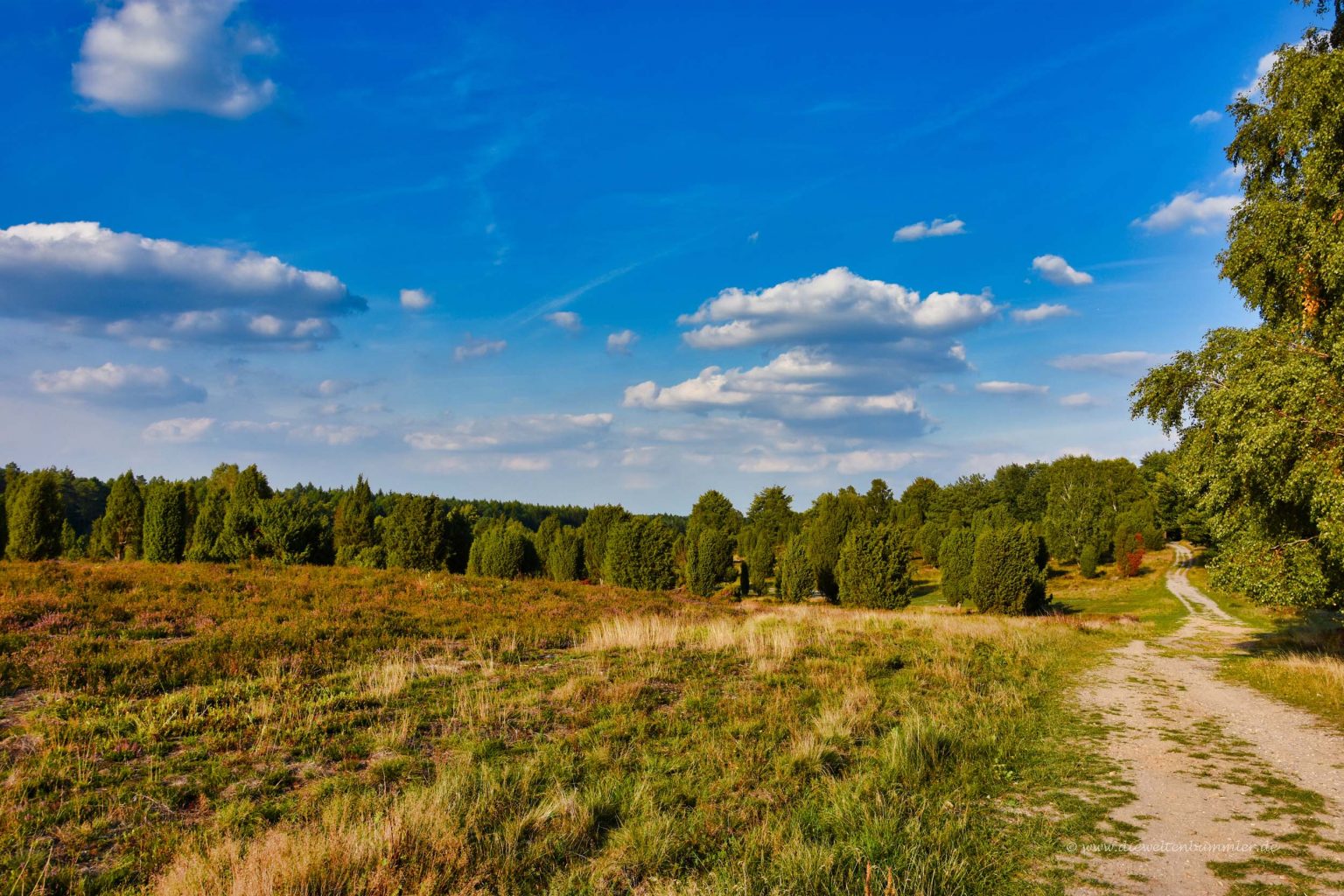 Heidelandschaft - Die Weltenbummler