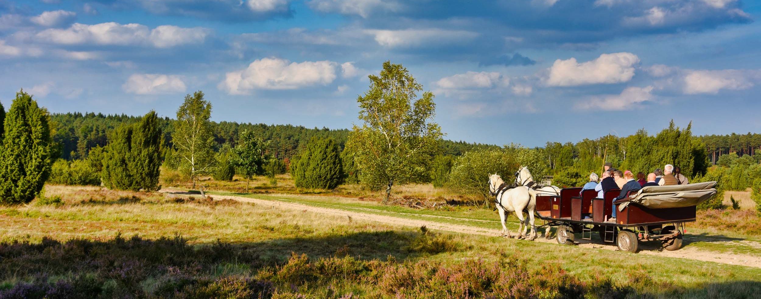 Wandern zum Wilseder Berg in der Lüneburger Heide - Die Weltenbummler