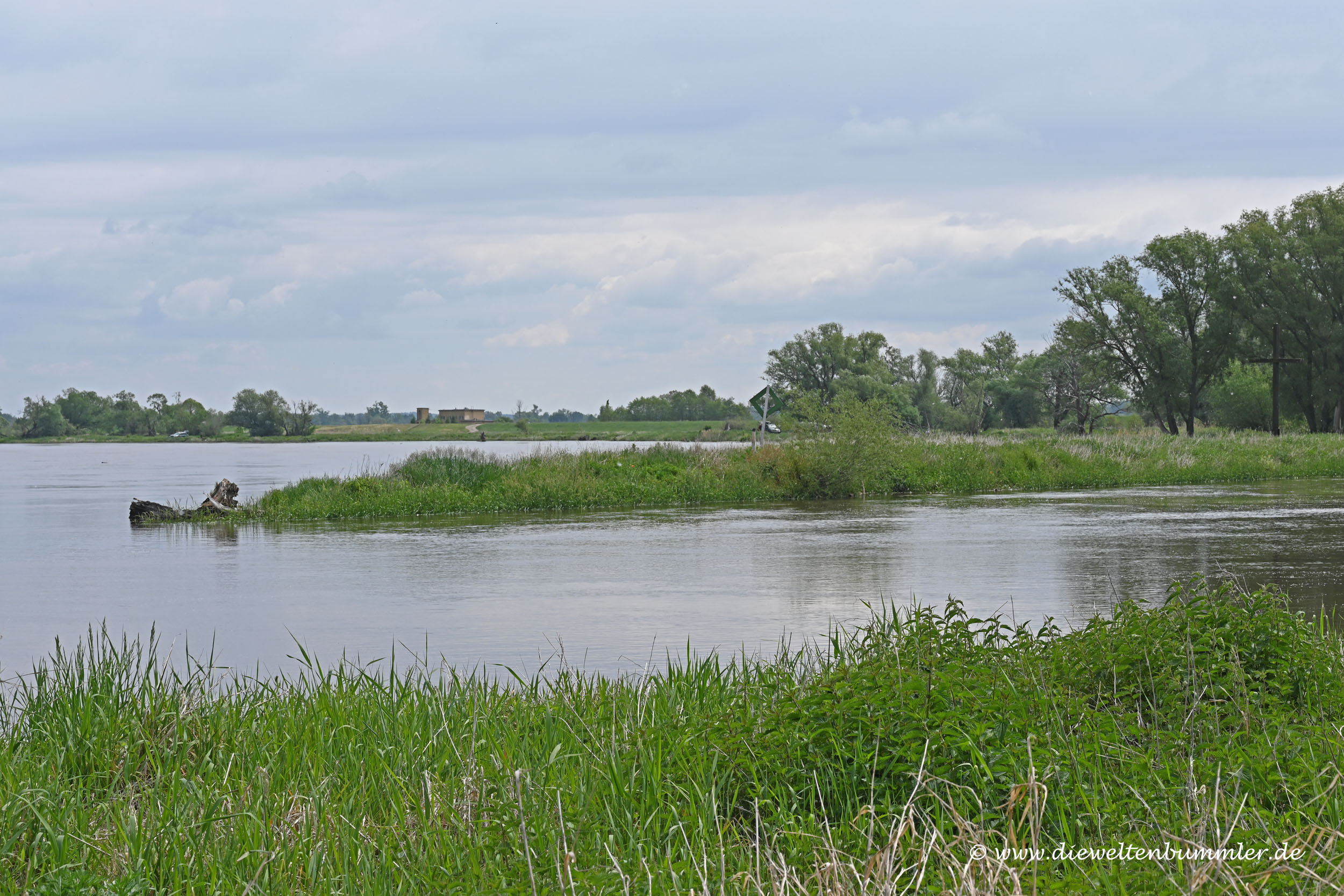 Neiße-Mündung in die Oder - Die Weltenbummler