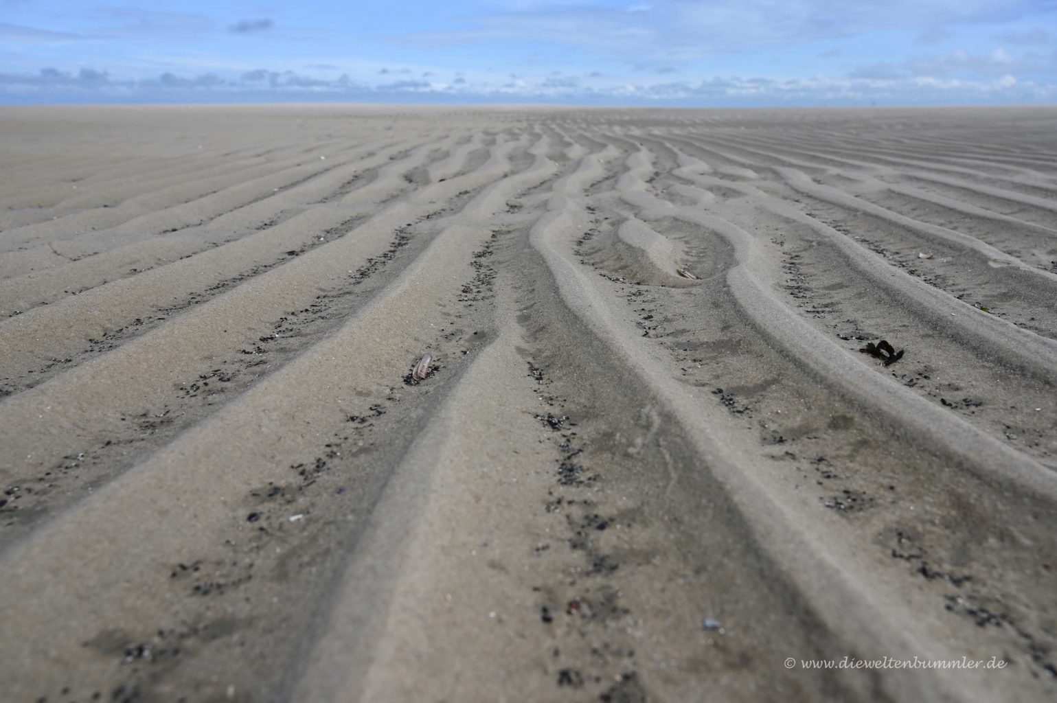 Strukturen am Meeresboden - Die Weltenbummler