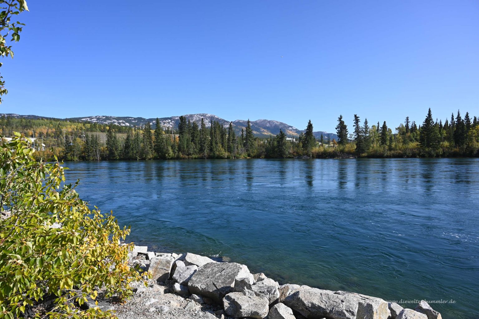 Der Fluss Yukon - Die Weltenbummler