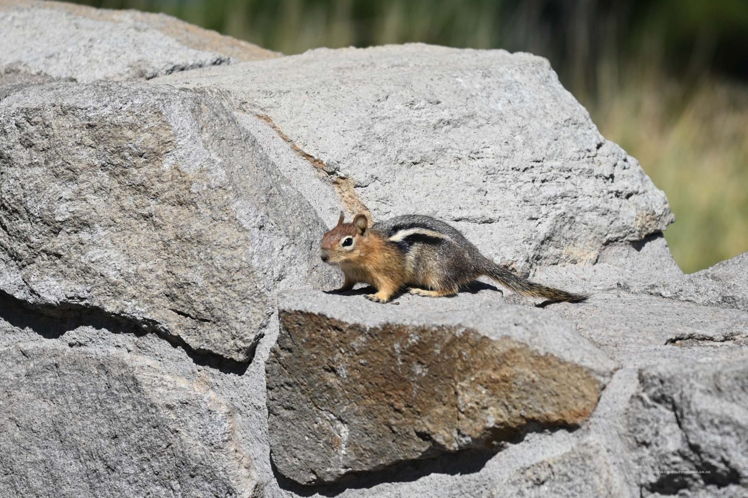 Crater Lake Nationalpark in Oregon - Die Weltenbummler