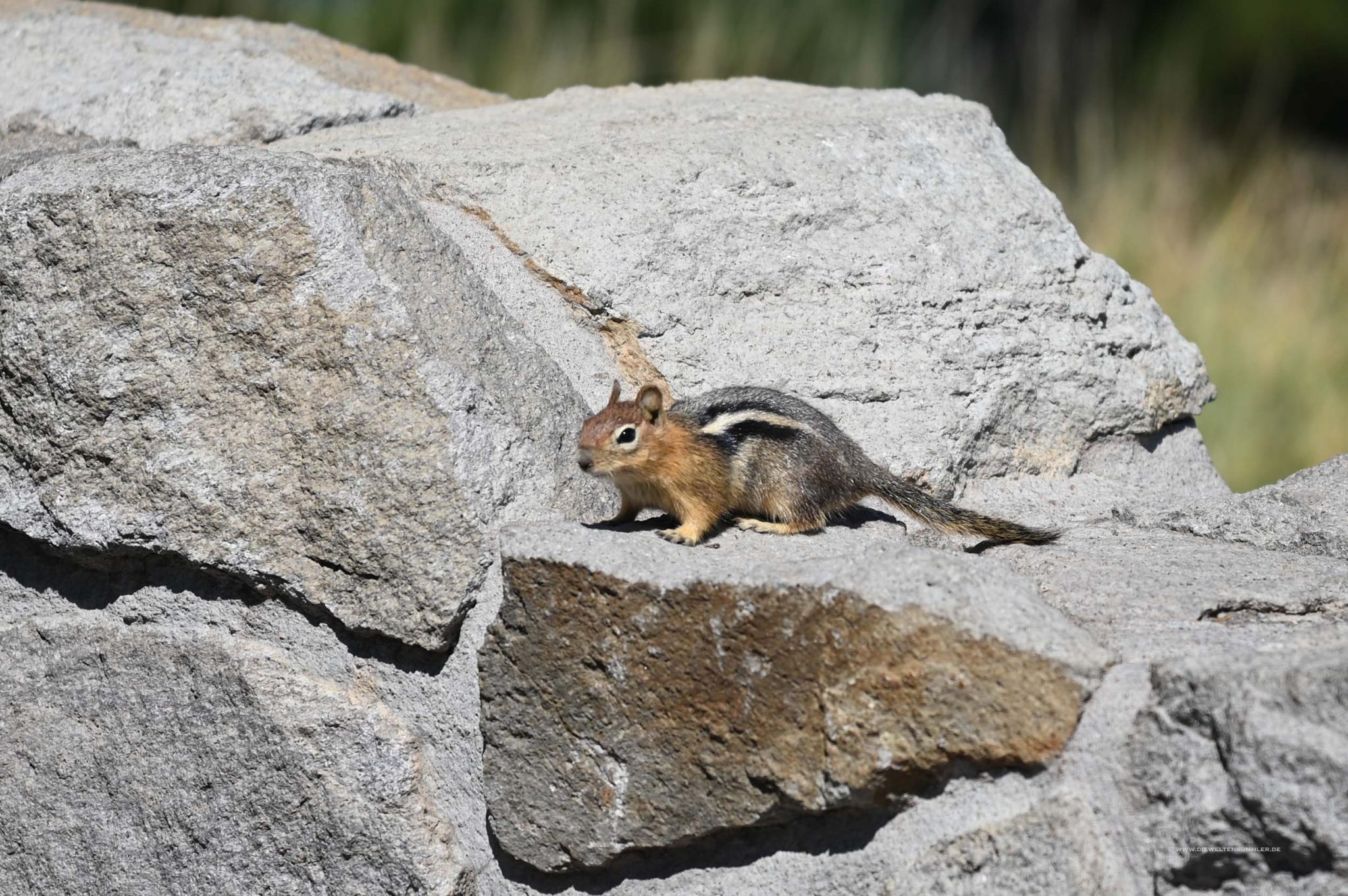 Crater Lake Nationalpark in Oregon - Die Weltenbummler