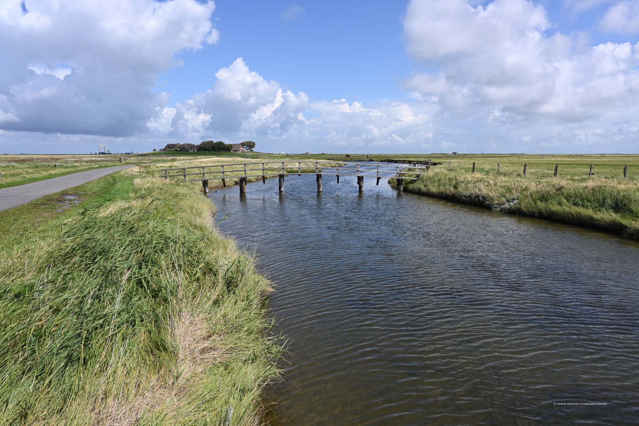 Hallig-Hooge - Die Weltenbummler
